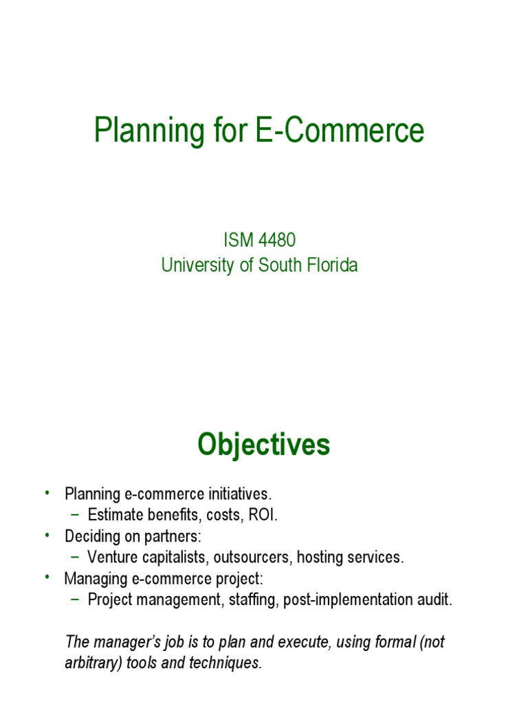 Planning For E-Commerce: ISM 4480 University of South Florida | PDF | E Commerce | Outsourcing