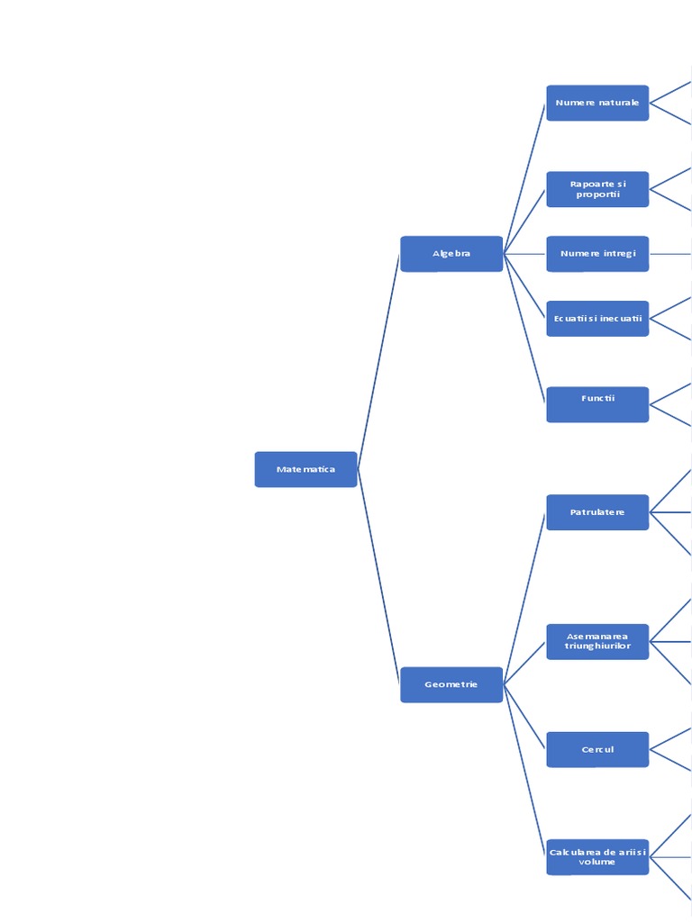 Harta Conceptuala Mate | PDF
