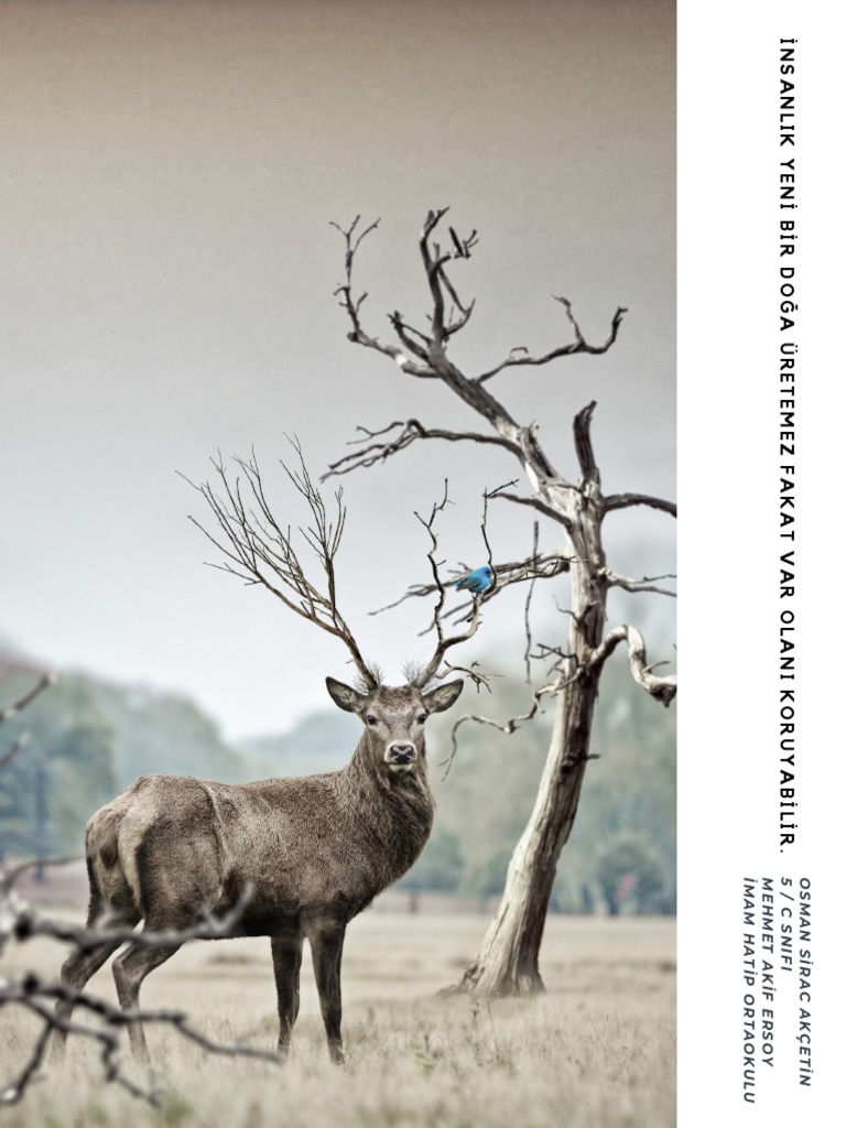 Nature Photos Travel Magazine PDF | PDF