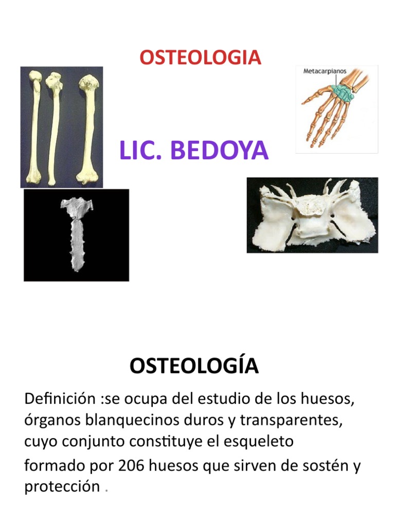 TEMA 2 GENERALIDADES Hosteologia | PDF | Hueso | Articulación