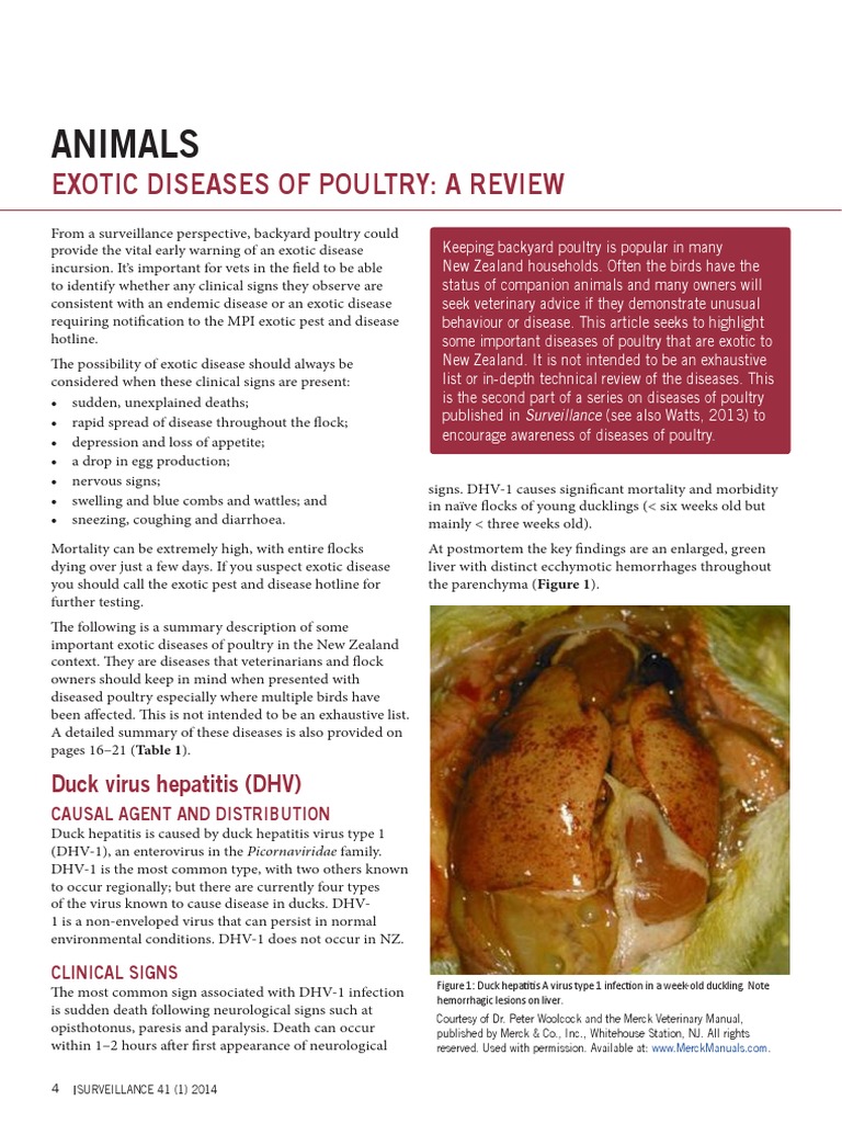 Exotic Diseases of Poultry - A Review | PDF | Avian Influenza | Influenza