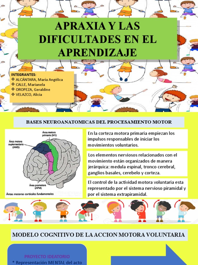 Tipos Y Evaluaci n De Apraxias PDF Cerebro Aprendizaje