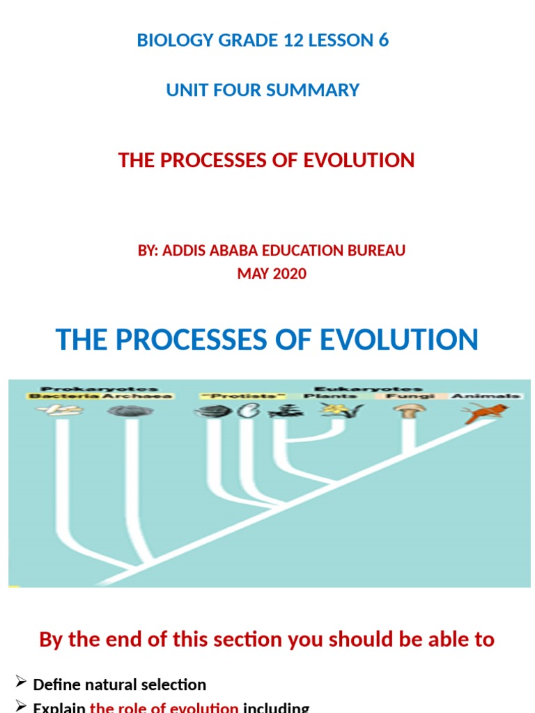 Biology Grade 12 Unit 4 Summary The Processes of Evolution | PDF ...