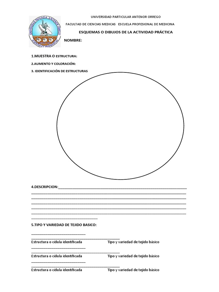 Formato para Esquema de Dibujo | PDF