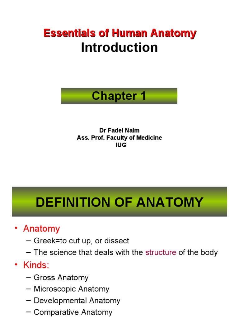 Essentials of Human Anatomy | Download Free PDF | Anatomical Terms Of ...