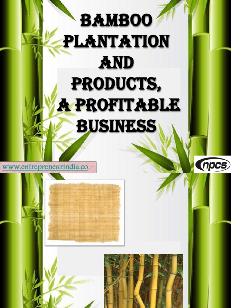Project Report On Bamboo and Bamboo Products | PDF | Bamboo | Pulp (Paper)