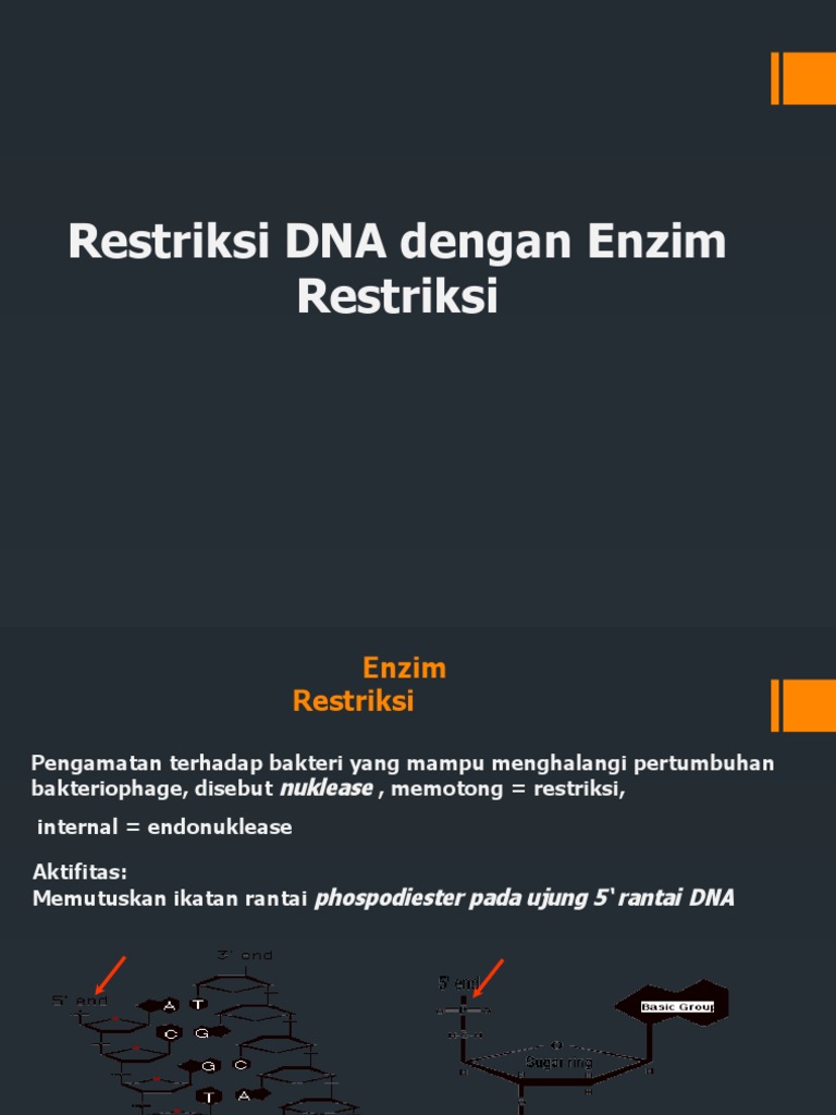 Enzim Restriksi | PDF