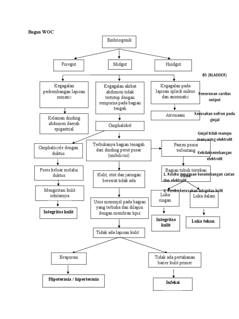 Bagan WOC: B5 (Bladder) | PDF
