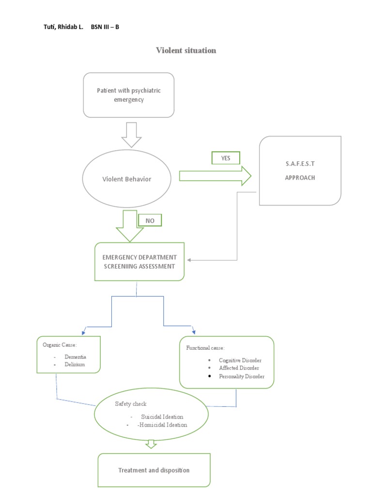 Violent Situation: Patient With Psychiatric Emergency | PDF