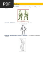 Evaluación de Reflejos Osteotendinosos | PDF | Sistema ...
