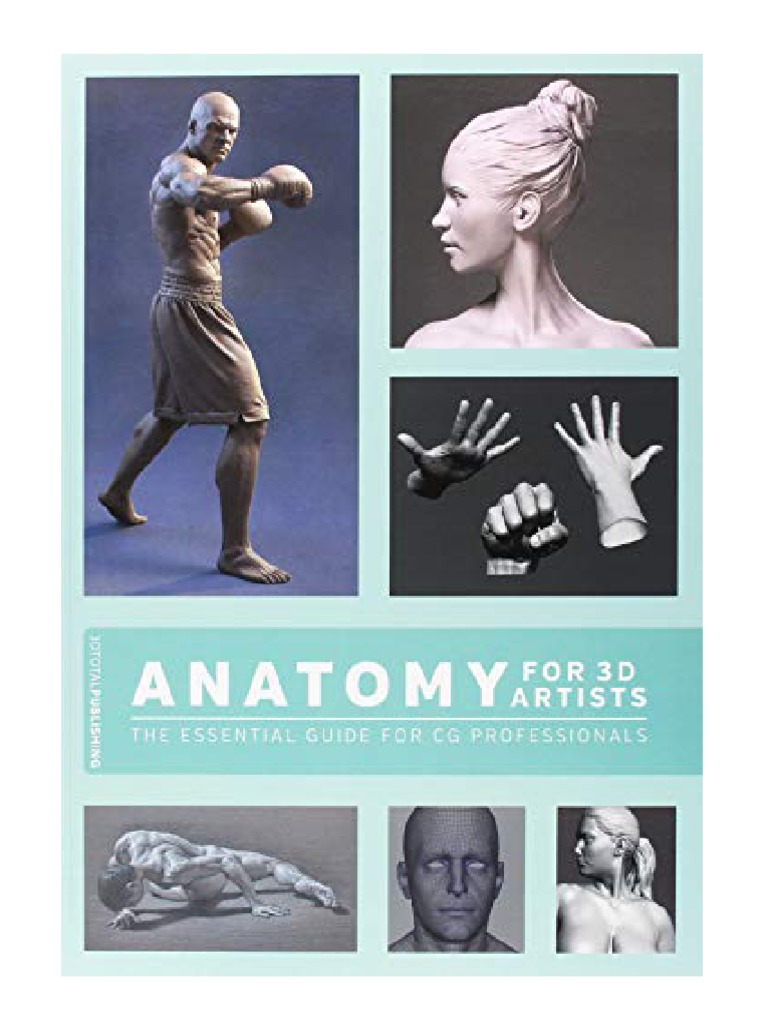 Anatomy For 3d Artists The Essential Gui Pdf Pdf