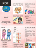 Leaflet Dismenore Fix | PDF