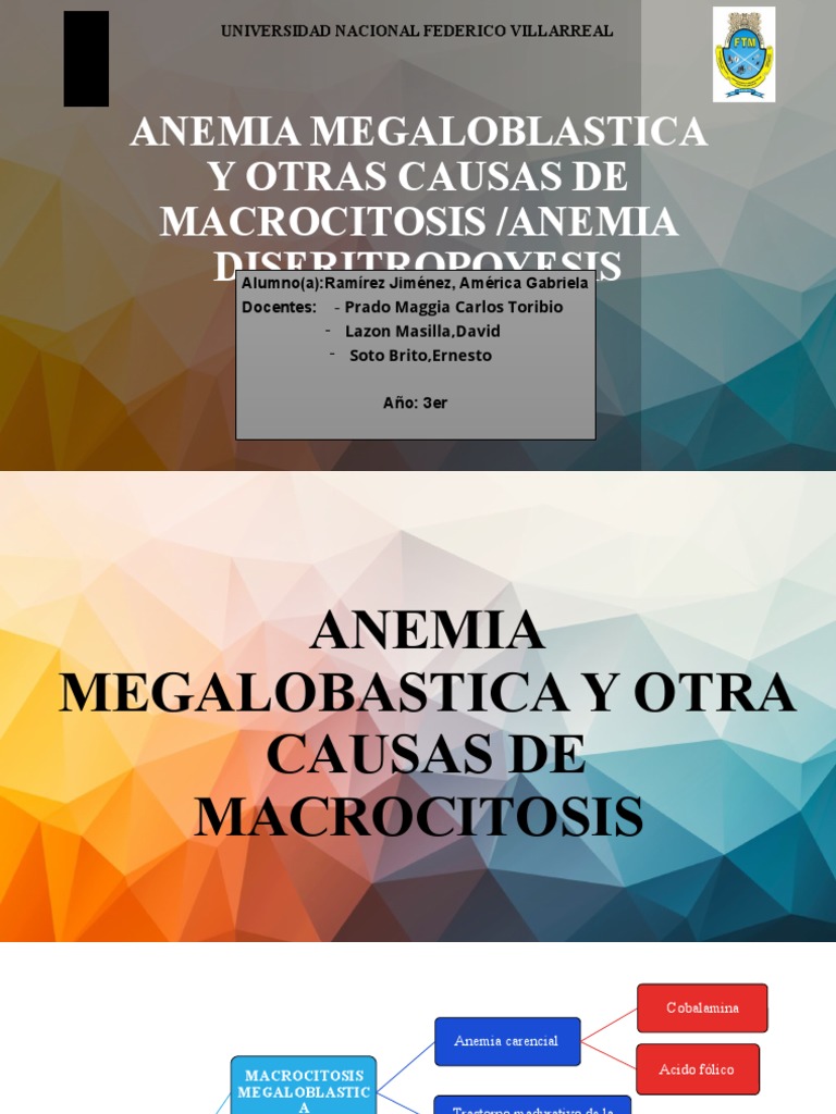 Anemia Megaloblastica y Otras Causas de Macrocitosis | PDF | Sangre ...