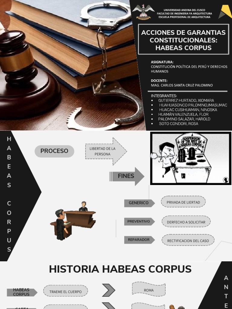 Proceso de Habeas Corpus en Perú | PDF | Habeas corpus | Derecho ...