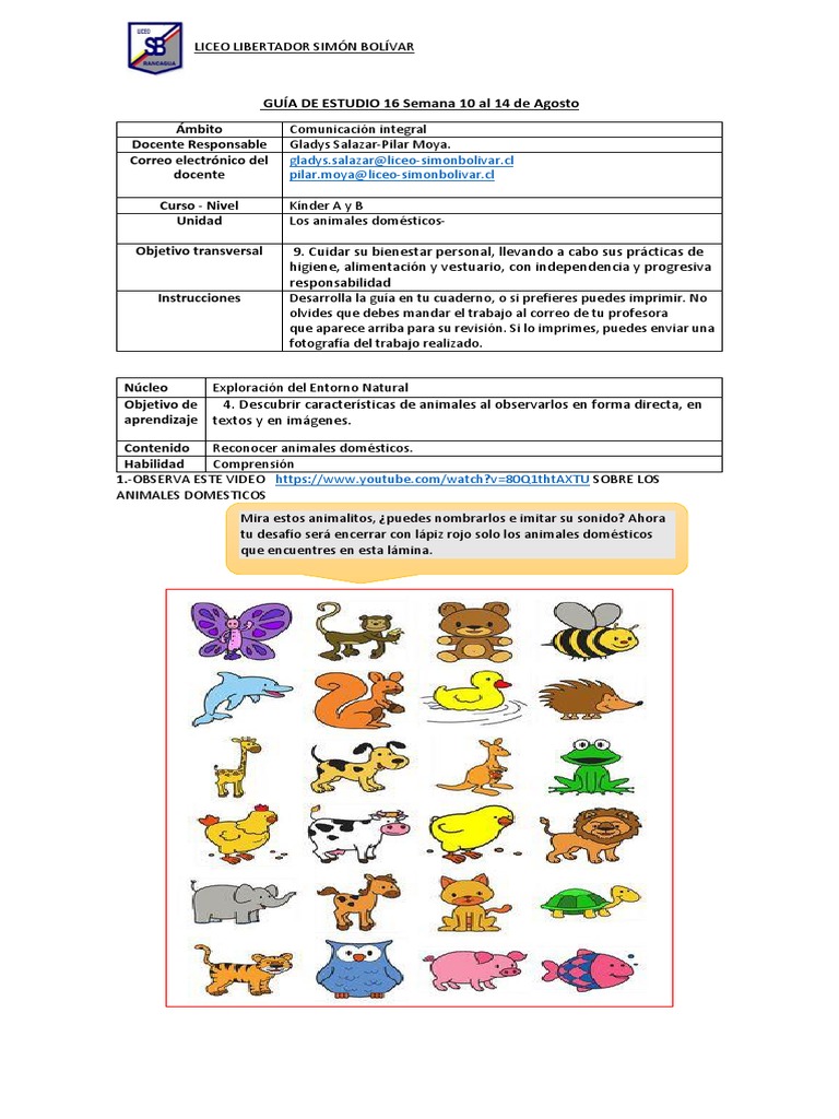 Guía de Estudio: Animales Domésticos Kínder | PDF | Conceptos ...
