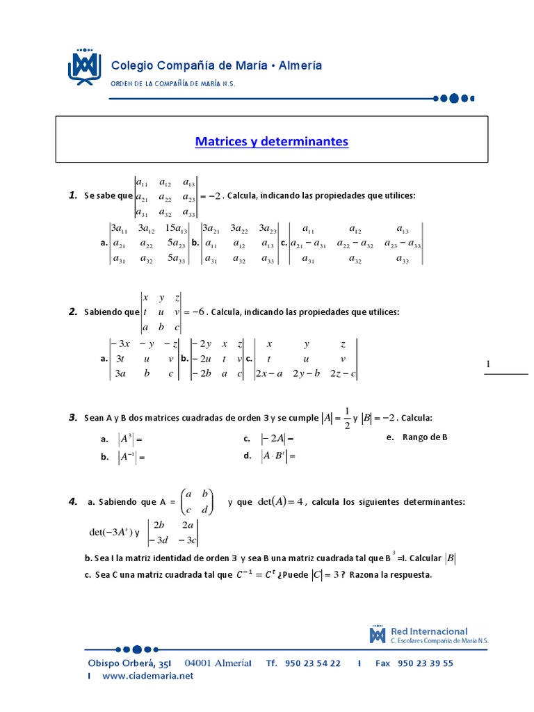 19-20 Matrices y Determinantes | PDF | Determinante | Matriz (Matemáticas)