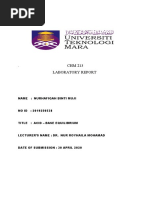 Unknown White Compound Lab Report | PDF | Ph | Chemical Substances