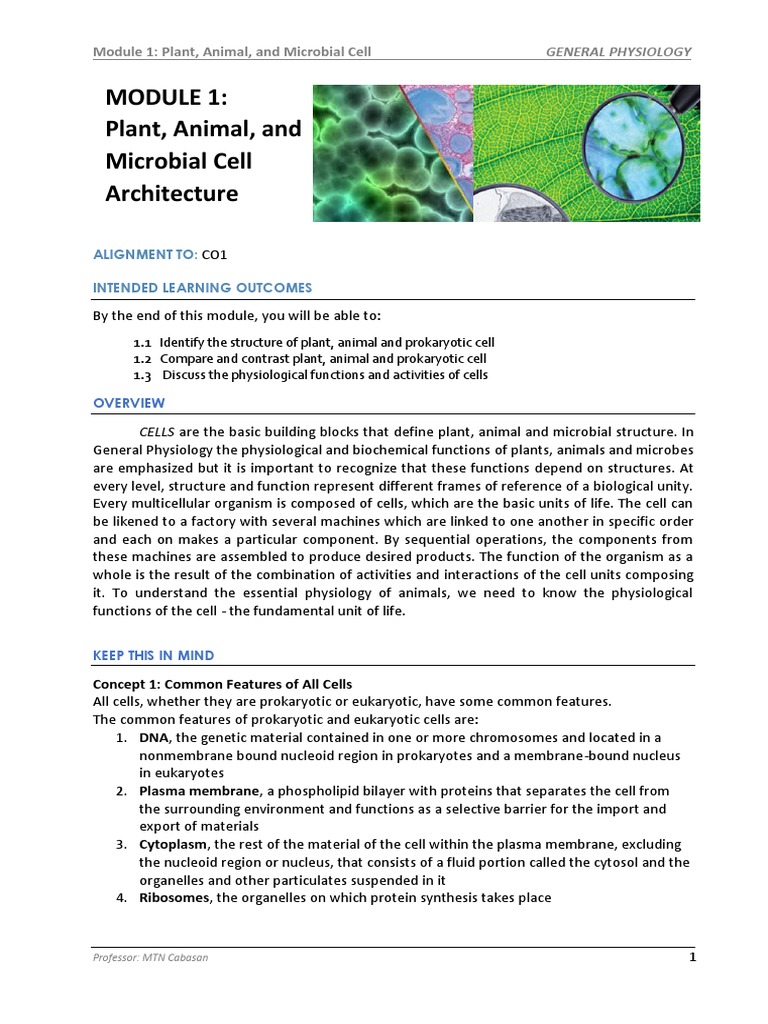 Cell Structure and Function Overview | PDF
