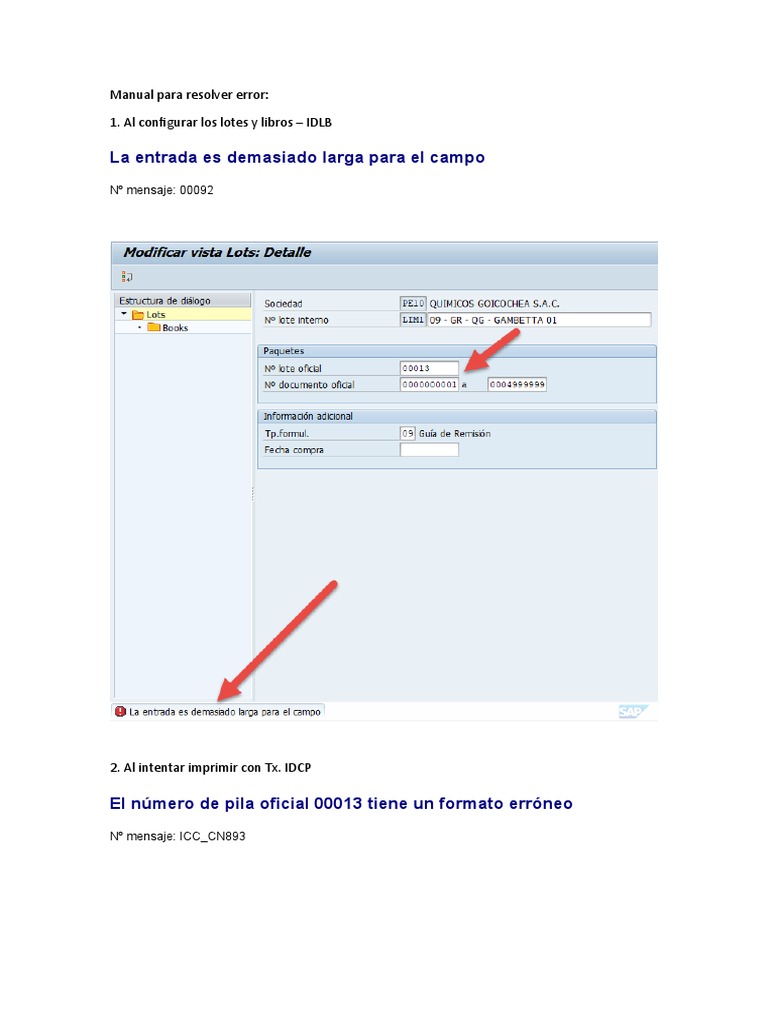 Manual para Resolver Error IDLB-IDCP Formato Numeracion | PDF