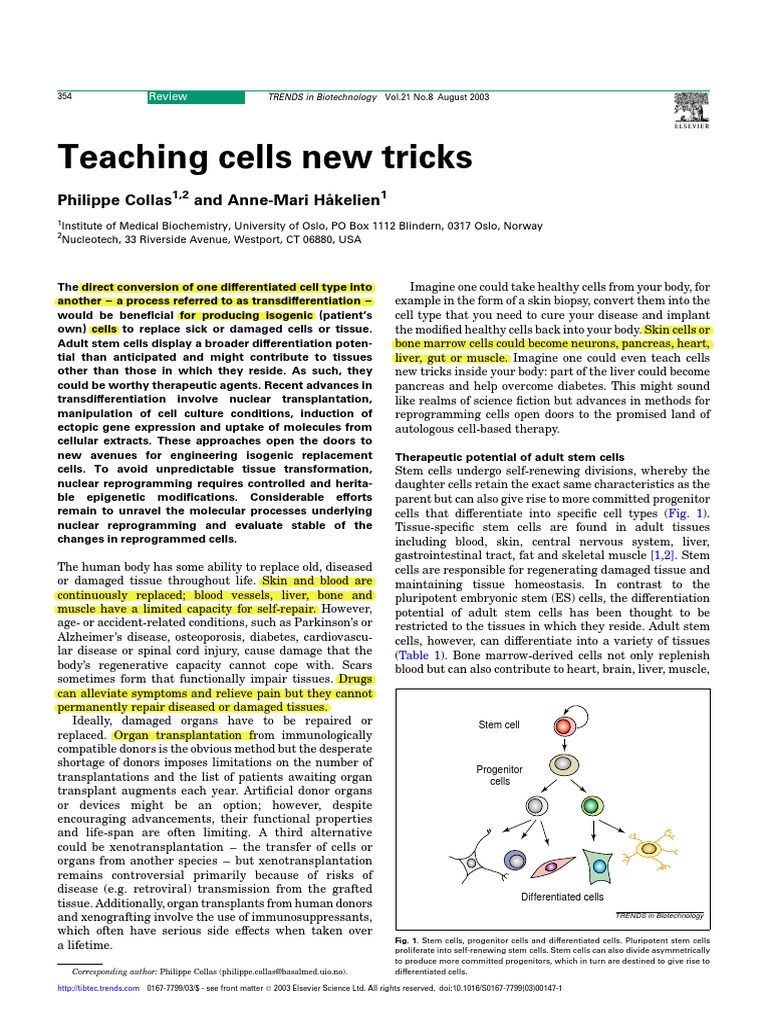 Collas 03 Teaching Cells New Tricks | PDF | Stem Cell | Cellular ...