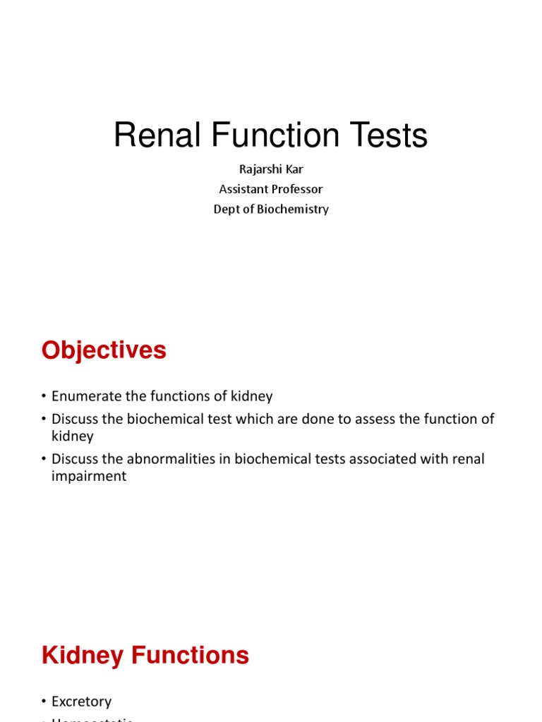 Renal Function Tests Explained | PDF