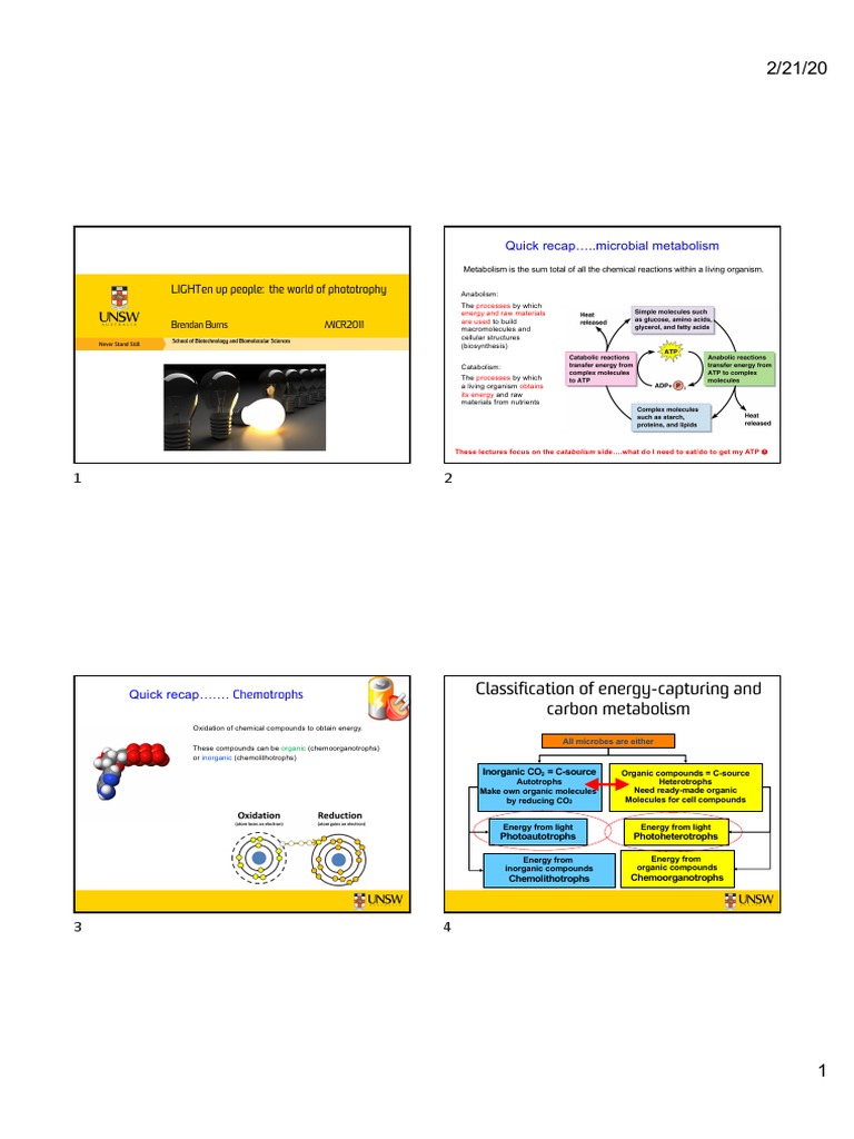 Phototrophy and Microbial Metabolism | PDF | Photosynthesis | Cyanobacteria