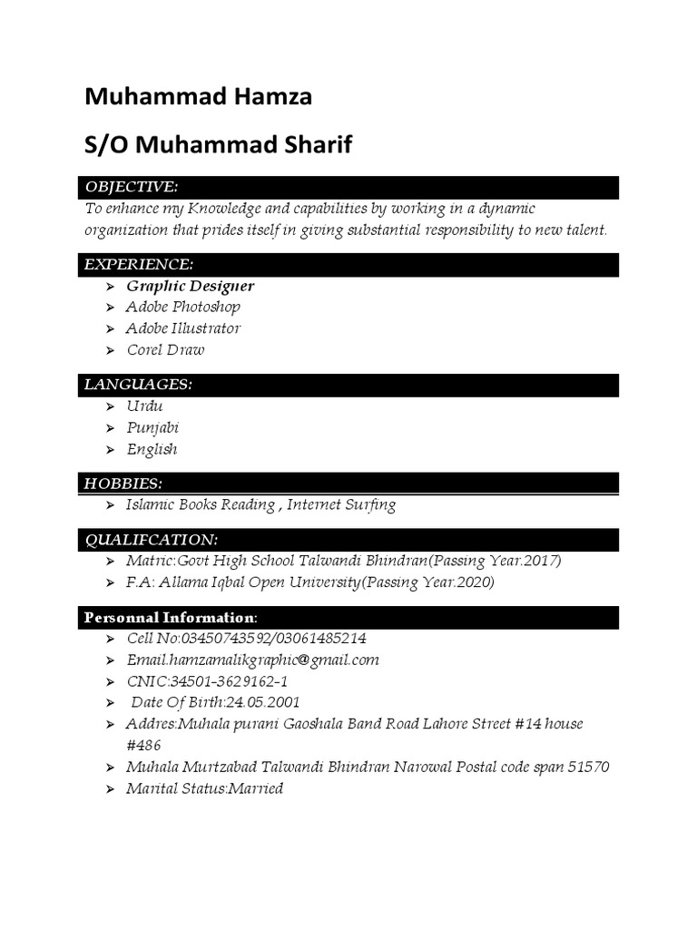 Hamza CV | PDF