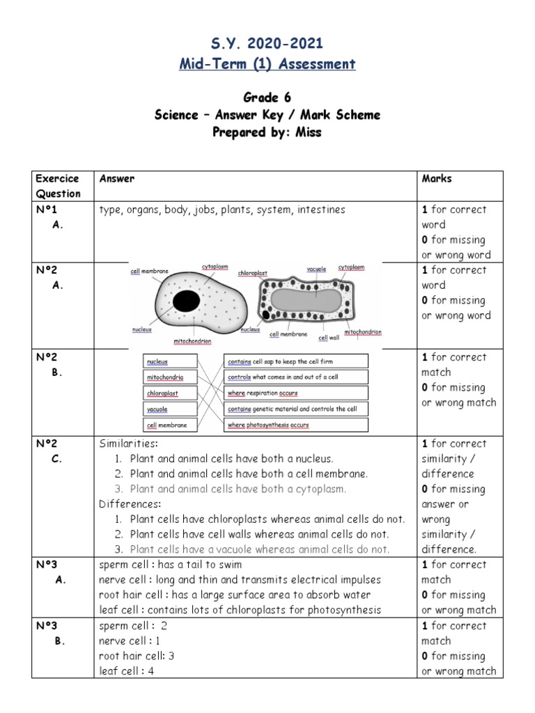 Mid-Term Assessment Term 1 Grade 6 Science Paper 1 Answer Key | PDF ...