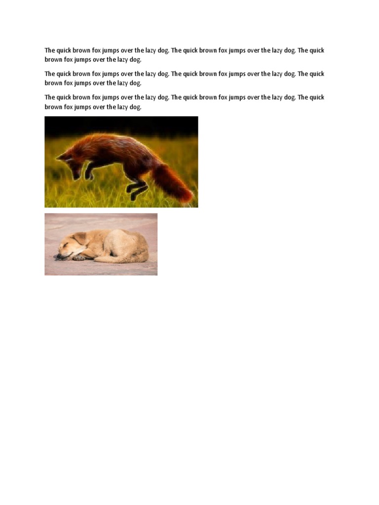 The Quick Brown Fox Jumps Over The Lazy Do1 | PDF