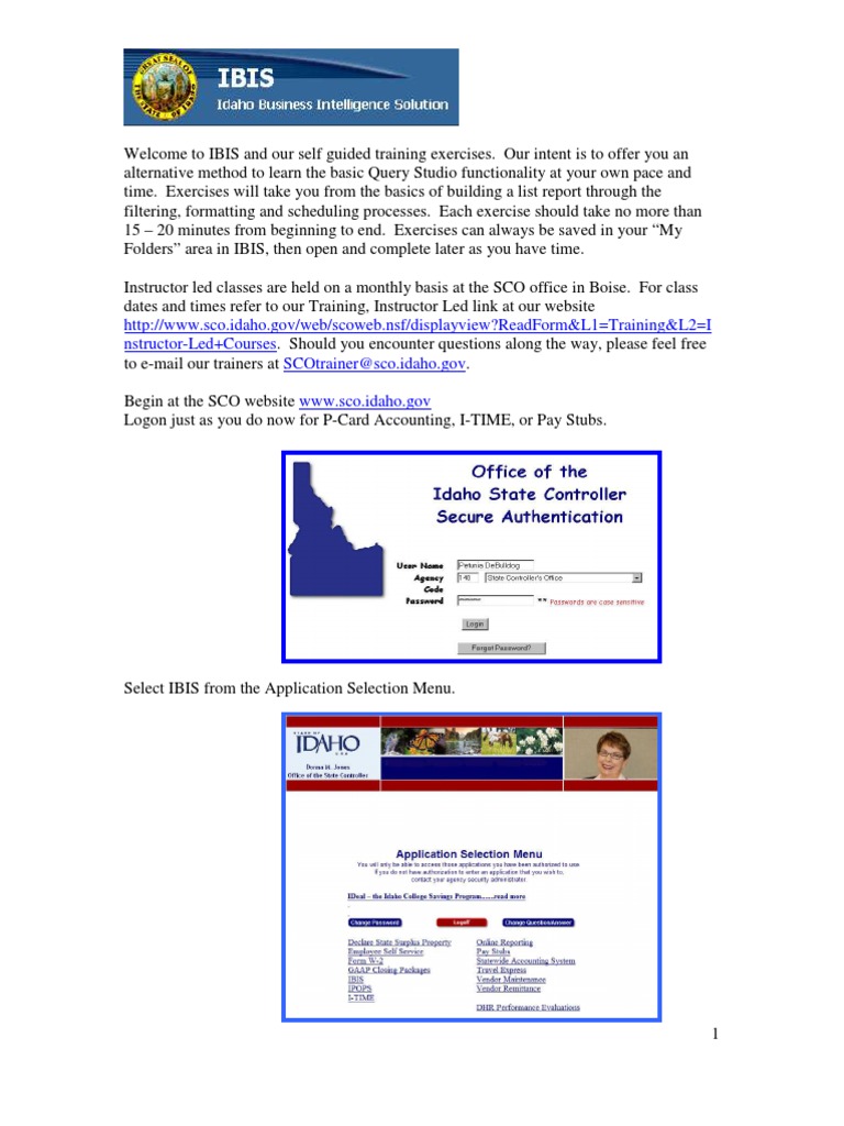Self-guided IBIS training exercises under 40 chars | PDF | Database ...