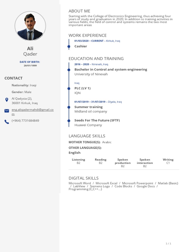 (Ali Qader Mahdi) (CV) | PDF
