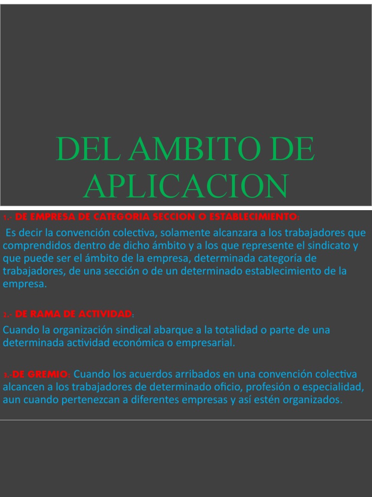 Del Ambito de Aplicacion | PDF