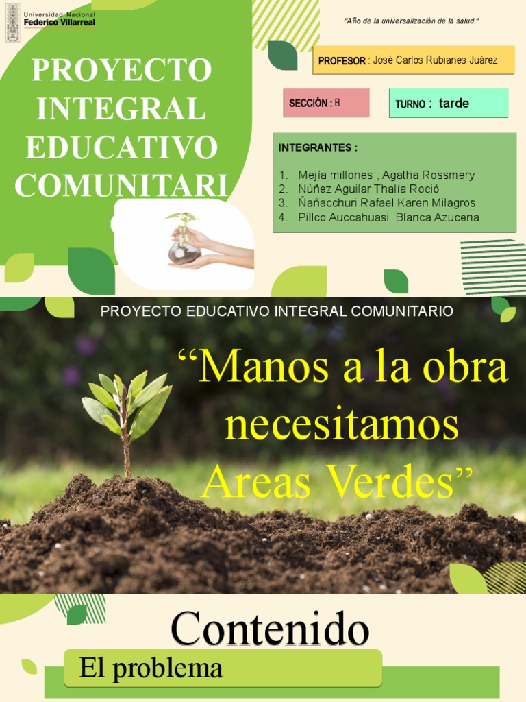 Proyecto Comunitario Areas Verdes | PDF | El plastico | Reciclaje
