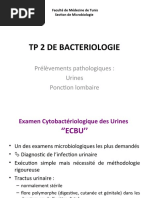 TP Bactériologie Galerie API | PDF | Microbiologie | Bactérie