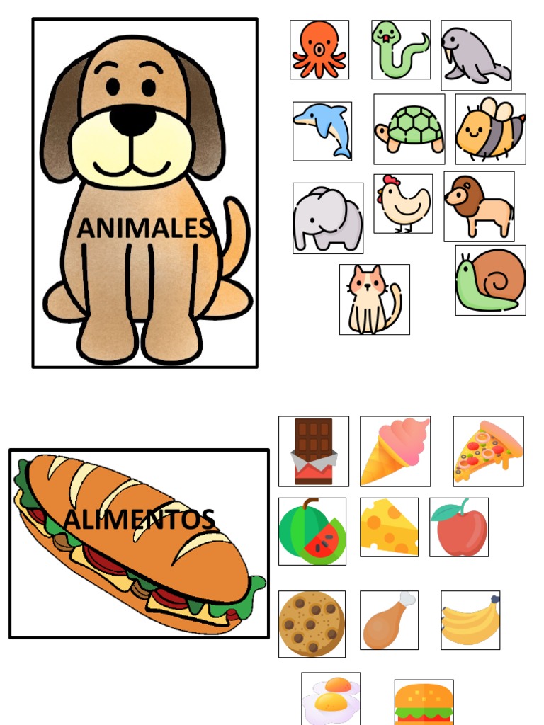 Una exploración de las necesidades básicas de los animales: alimentos ...