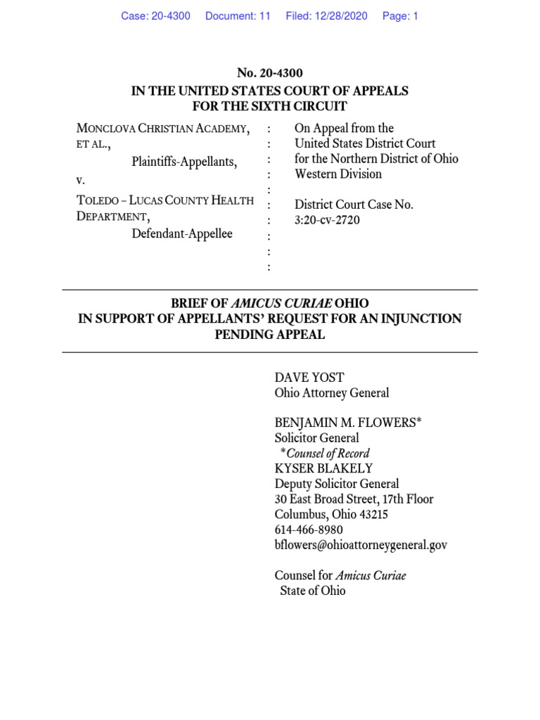 Ohio Amicus Brief | PDF | Amicus Curiae | Brief (Law)