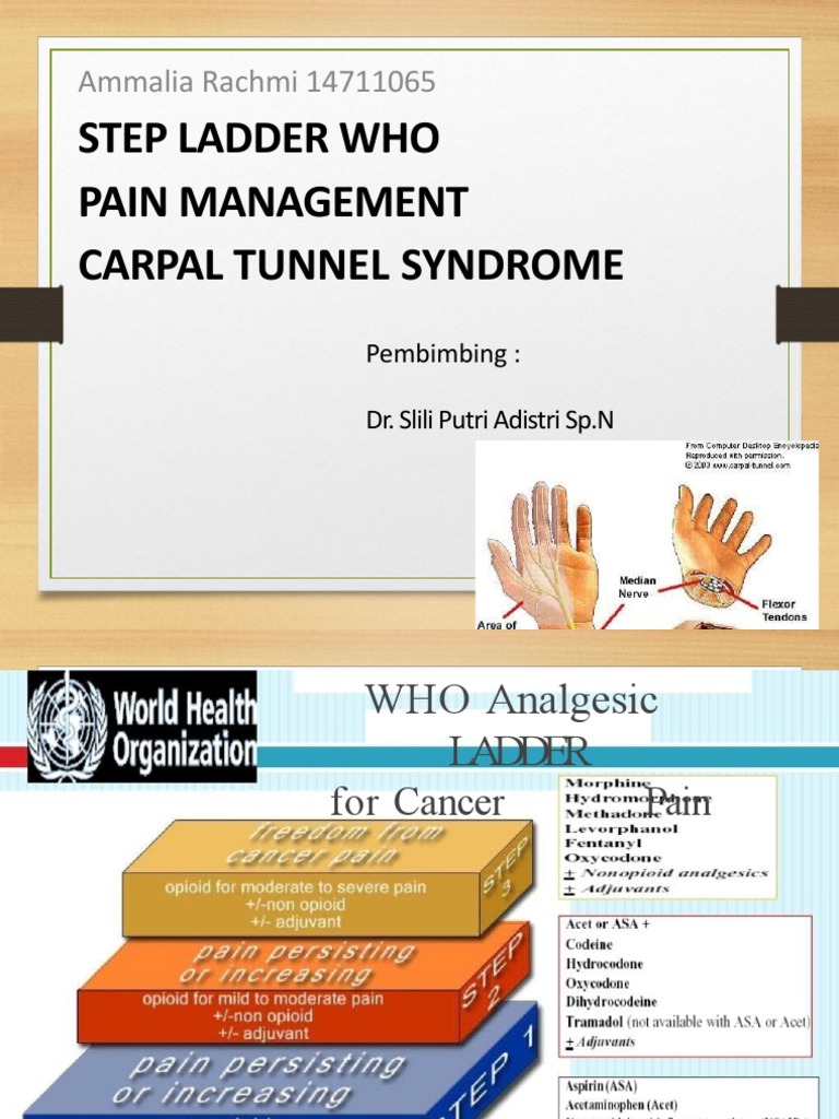 PR STEPLADDER CTS Ammalia | PDF | Analgesic | Opioid