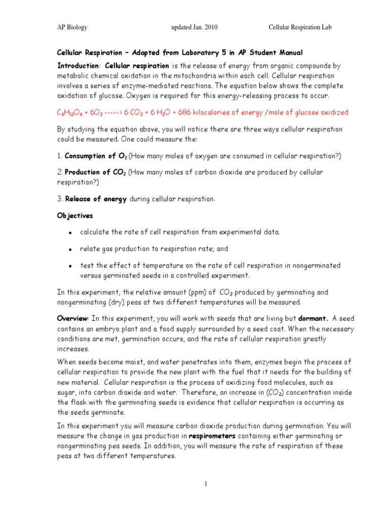 AP Lab 5 - Cellular Respiration Laboratory | PDF | Cellular Respiration | Carbon Dioxide
