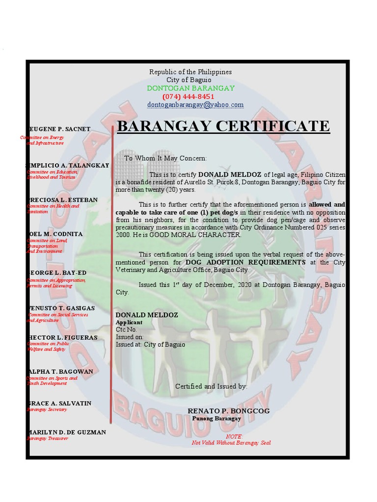 Barangay Certificate: Republic of The Philippines City of Baguio | PDF ...