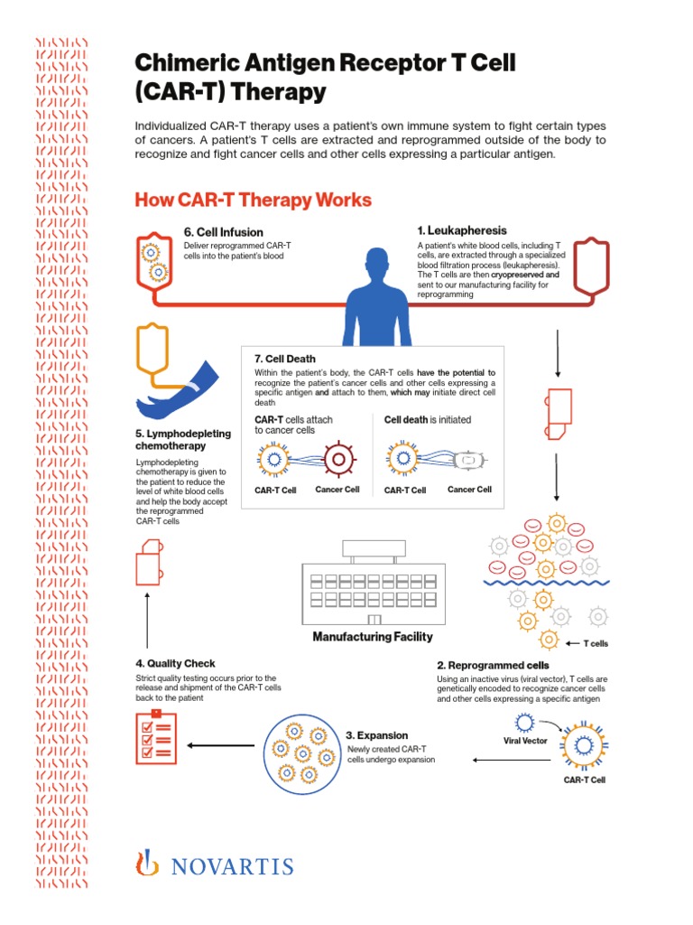 Car T Infographic | PDF | Immune System | Diseases And Disorders
