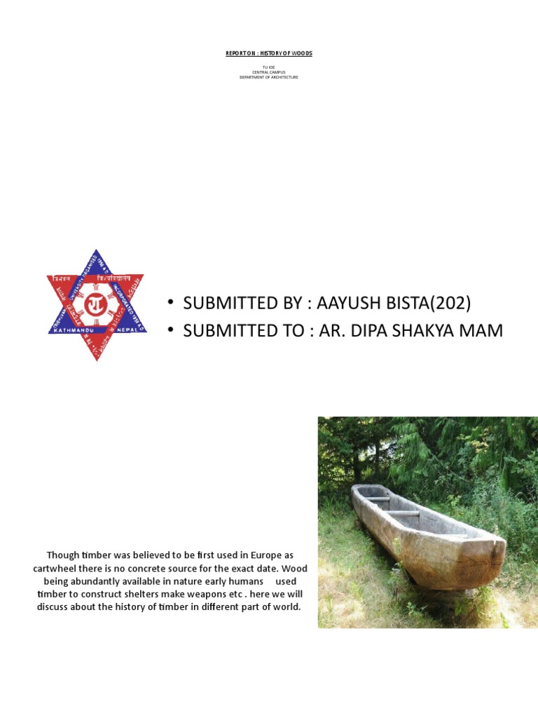 Submitted By: Aayush Bista (202) - Submitted To: Ar. Dipa Shakya Mam | PDF