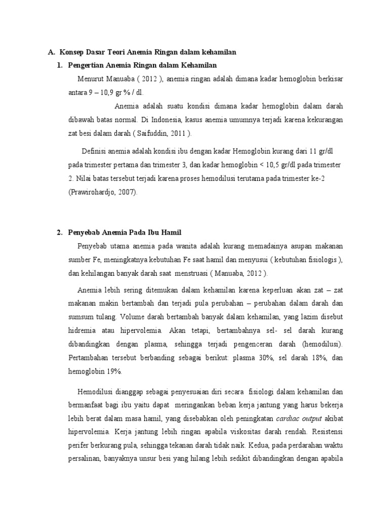 Konsep Dasar Teori Anemia Ringan Dalam Kehamilan MB ERNI | PDF ...