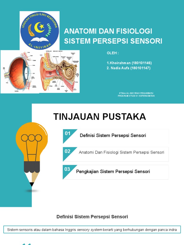 Anatomi Sistem Persepsi Sensori | PDF