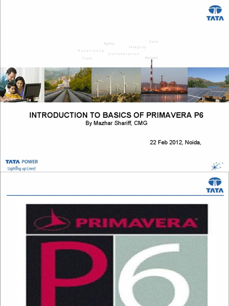 Basics of P6 by Mazhar Shariff | PDF | Arial | Project Management