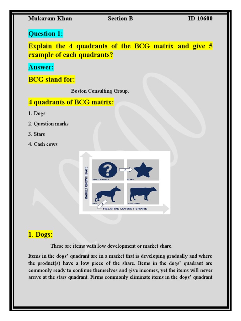 Explain The 4 Quadrants of The BCG Matrix and Give 5 Example of Each ...