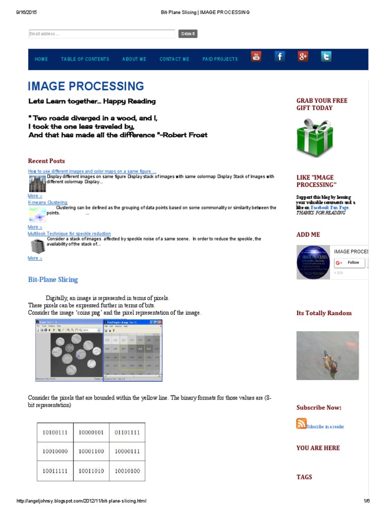 Bit Plane Slicing Image Processing Pdf Signal Processing Vision