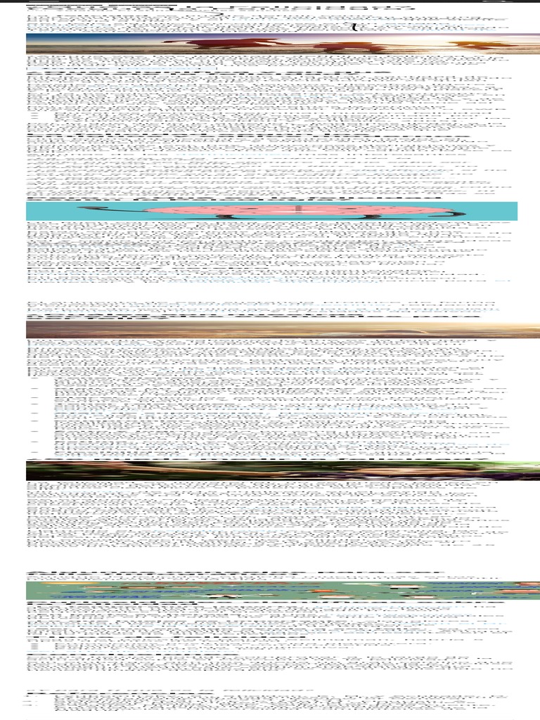 Psicología De La Felicidad Qué Es Y Cómo Lograrla Pdf Felicidad