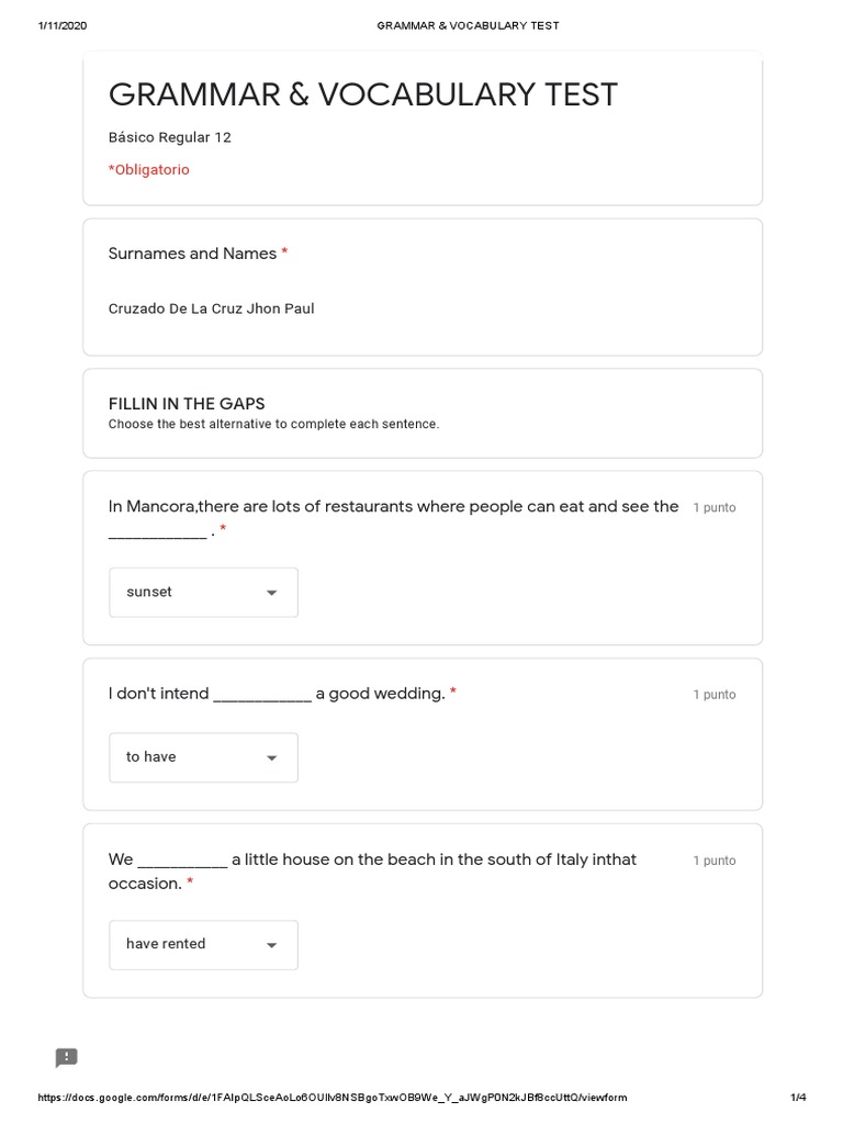 Grammar & Vocabulary Test | PDF