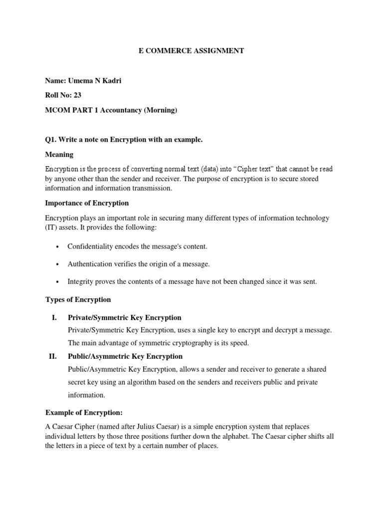 E Commerce Assignment PDF | PDF | Online Advertising | Security Hacker