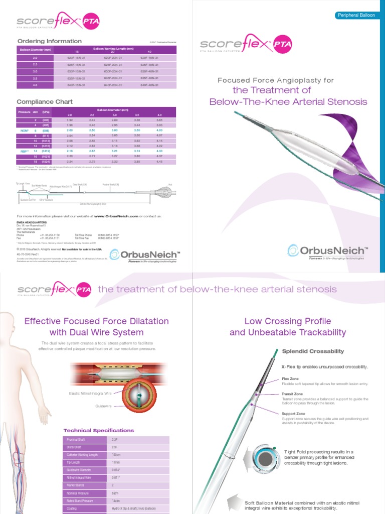The Treatment of Below-The-Knee Arterial Stenosis: Focused Force ...